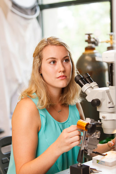 Biology Major Investigates What the Bee Sees - The College Today