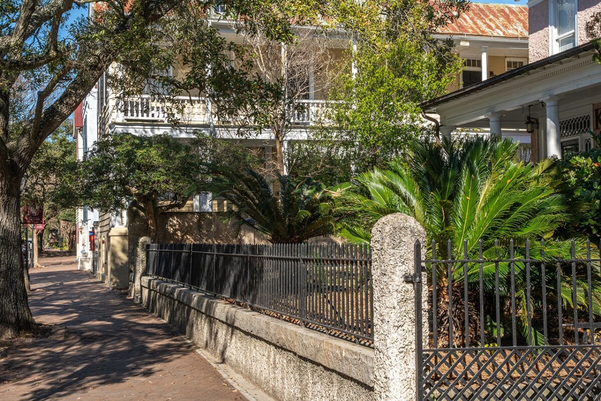 College of Charleston Photos of the Week